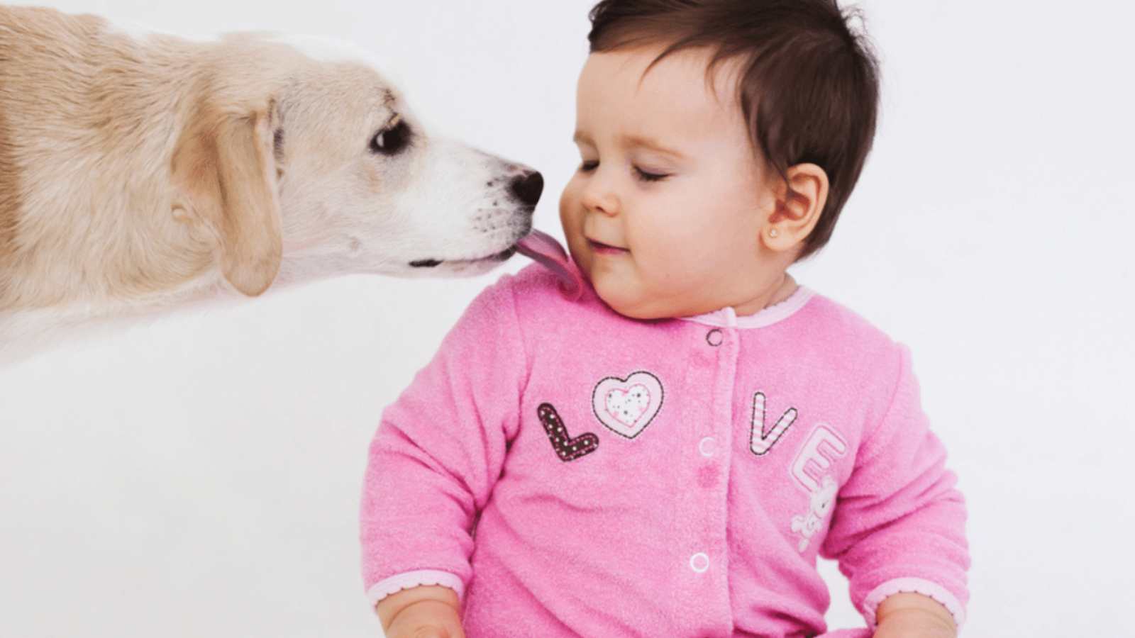 Dog Meets Baby